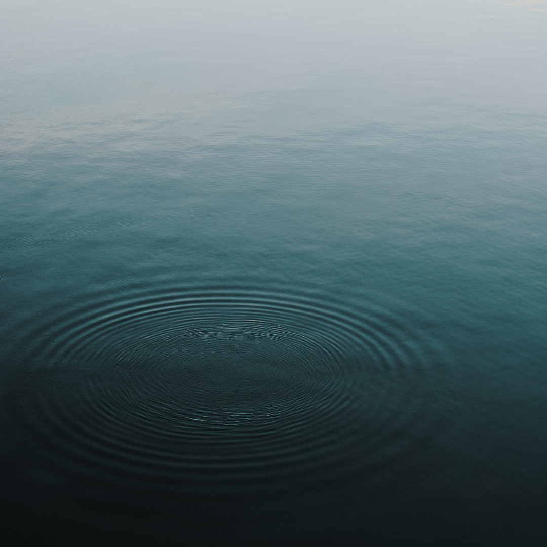 Embrace Harmony and Health with Chinese Medicine's 24-Hour Body Clock ...